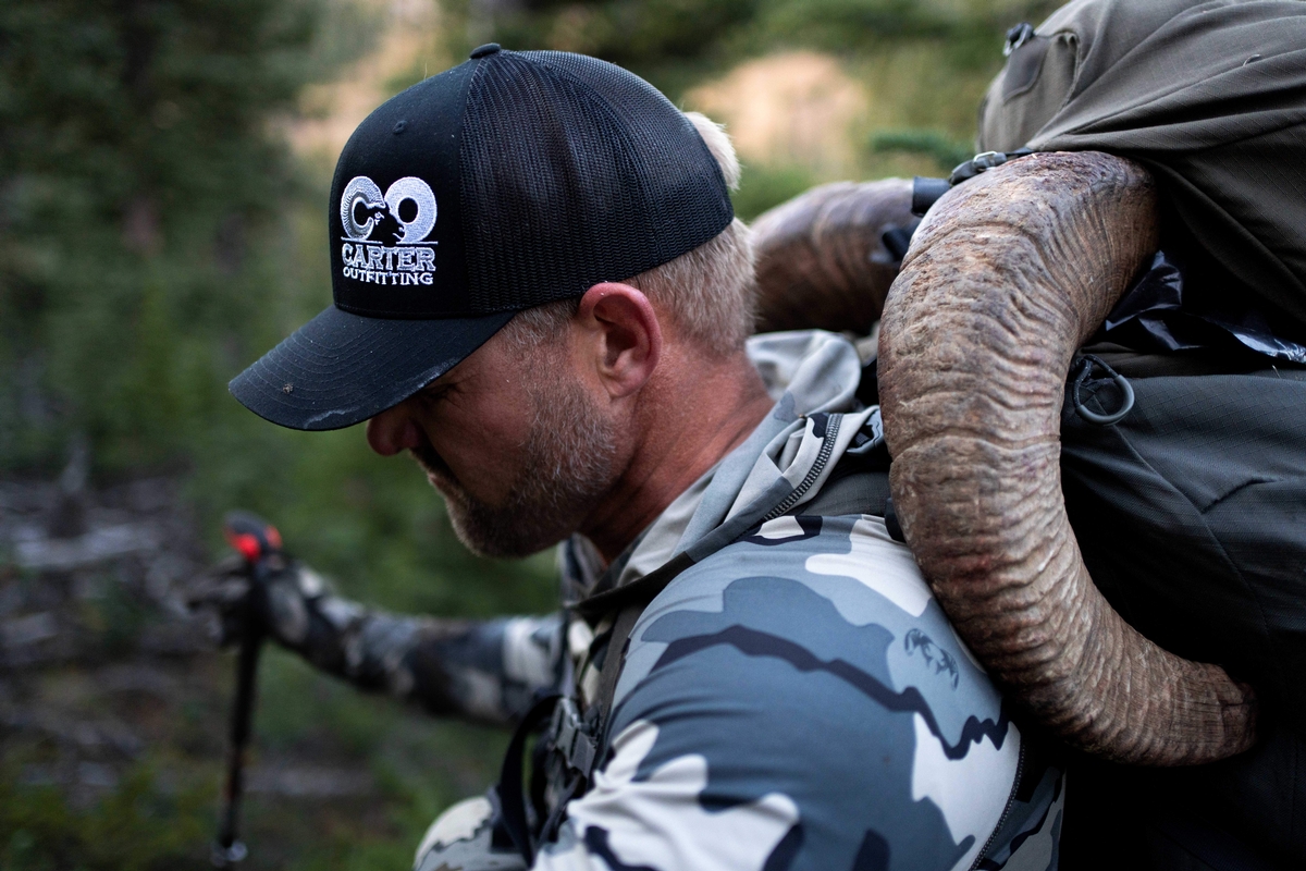 All-Inclusive Guided Rocky Mountain Bighorn Sheep Hunts | Carter Outfitting