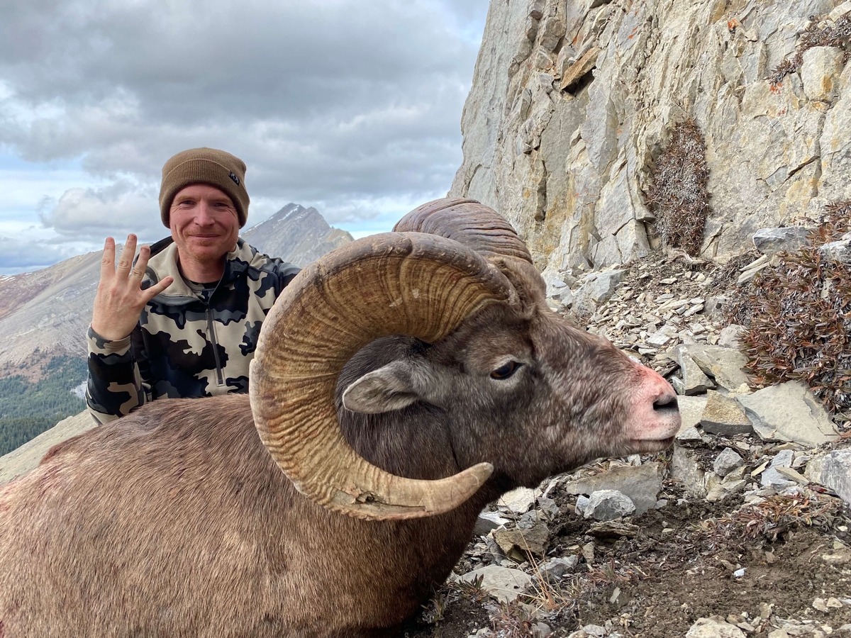 All-Inclusive Guided Rocky Mountain Bighorn Sheep Hunts | Carter Outfitting